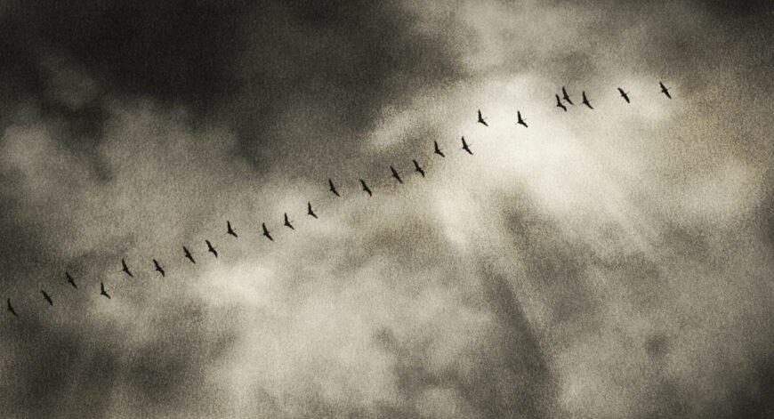 Volcelest - Festival international du court-métrage