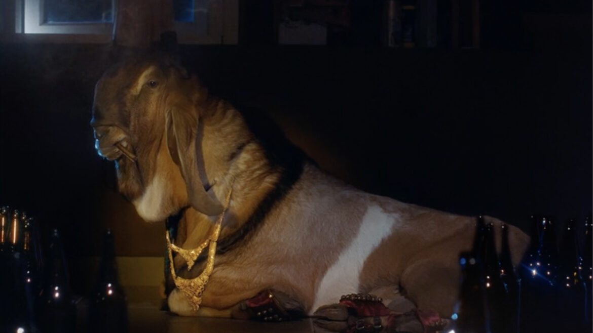 Bleat! - Festival international du court-métrage